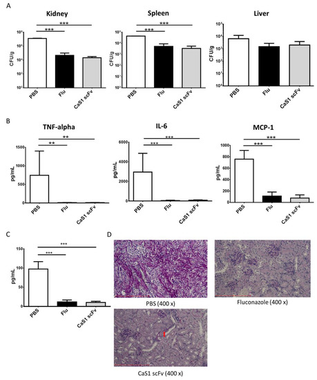 Generation and Characterization of Single Chain Variable Fragment ...