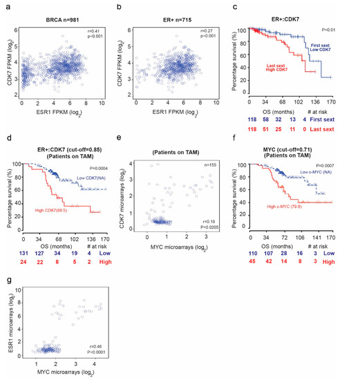 IJMS | Free Full-Text | Blockade of CDK7 Reverses Endocrine Therapy ...