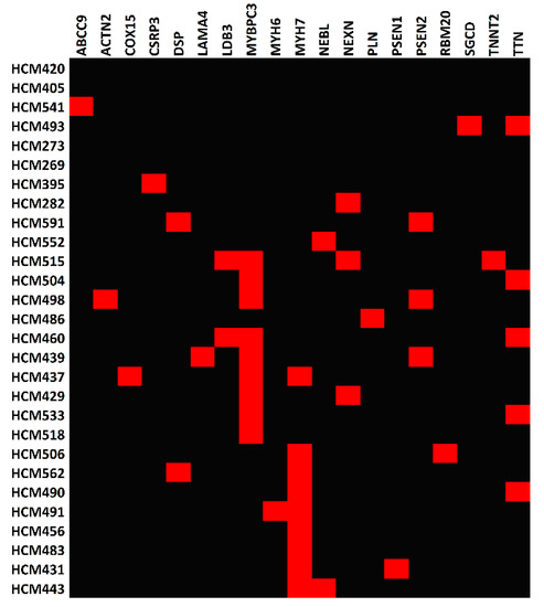 Genetic Dissection of Hypertrophic Cardiomyopathy with Myocardial RNA-Seq