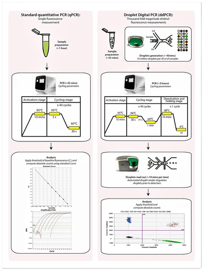 Evaluation of Droplet Digital Polymerase Chain Reaction (ddPCR) for the ...