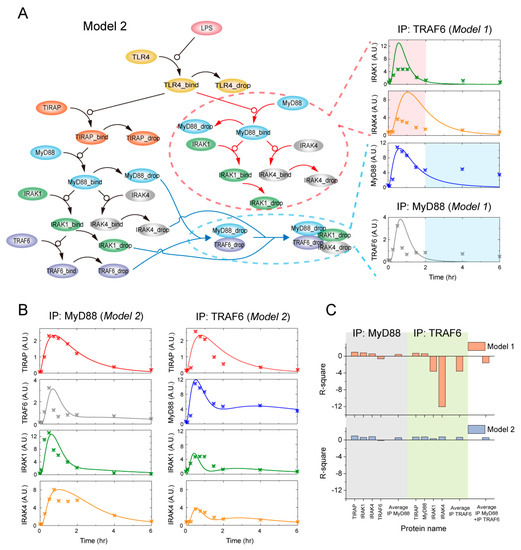 Data-Driven Modeling Identifies TIRAP-Independent MyD88 Activation Complex and Myddosome ...