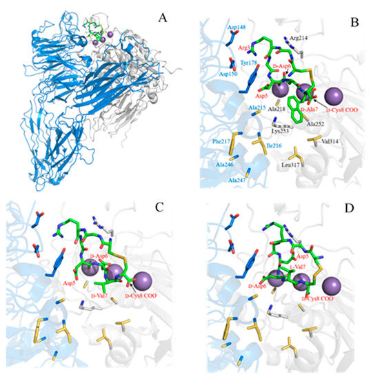 Structure–Activity Relationship of RGD-Containing Cyclic Octapeptide ...