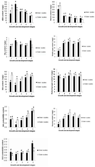 Transcriptome Analysis of Carbohydrate Metabolism Genes and Molecular ...