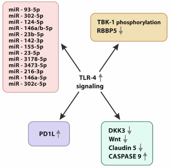 TLR-4 Signaling vs. Immune Checkpoints, miRNAs Molecules, Cancer Stem Cells, and Wingless ...