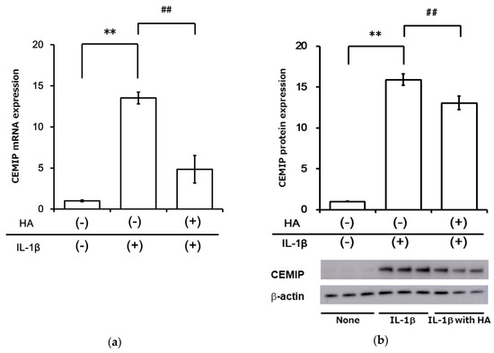 Induction of CEMIP in Chondrocytes by Inflammatory Cytokines ...
