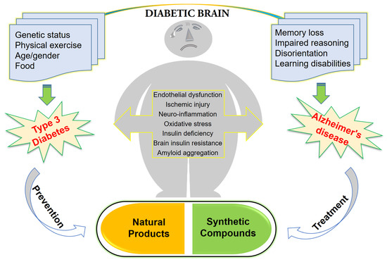 Type 3 Diabetes and Its Role Implications in Alzheimer’s Disease
