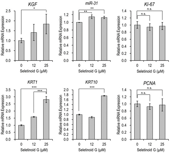 Synthetic Retinoid Seletinoid G Improves Skin Barrier Function through ...