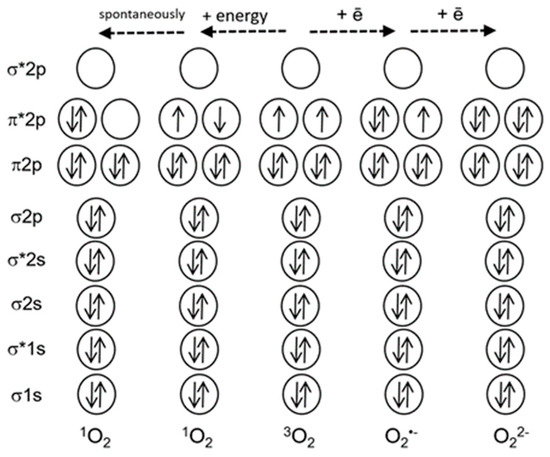 Singlet Oxygen in Plants: Generation, Detection, and Signaling Roles