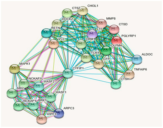 The 15q11.2 BP1-BP2 Microdeletion (Burnside–Butler) Syndrome: In Silico ...
