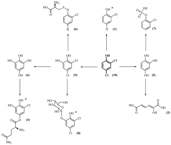 Degradation Mechanism of 2,4-Dichlorophenol by Fungi Isolated from ...