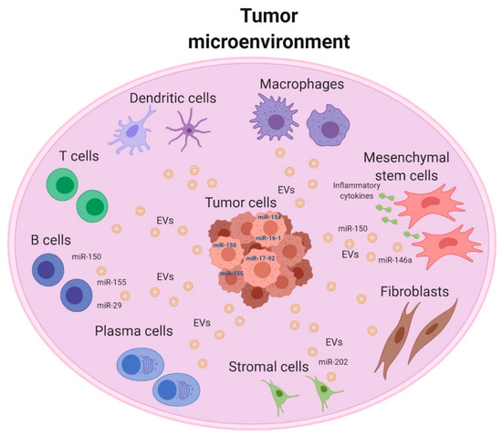 The Interplay between MicroRNAs and the Components of the Tumor ...