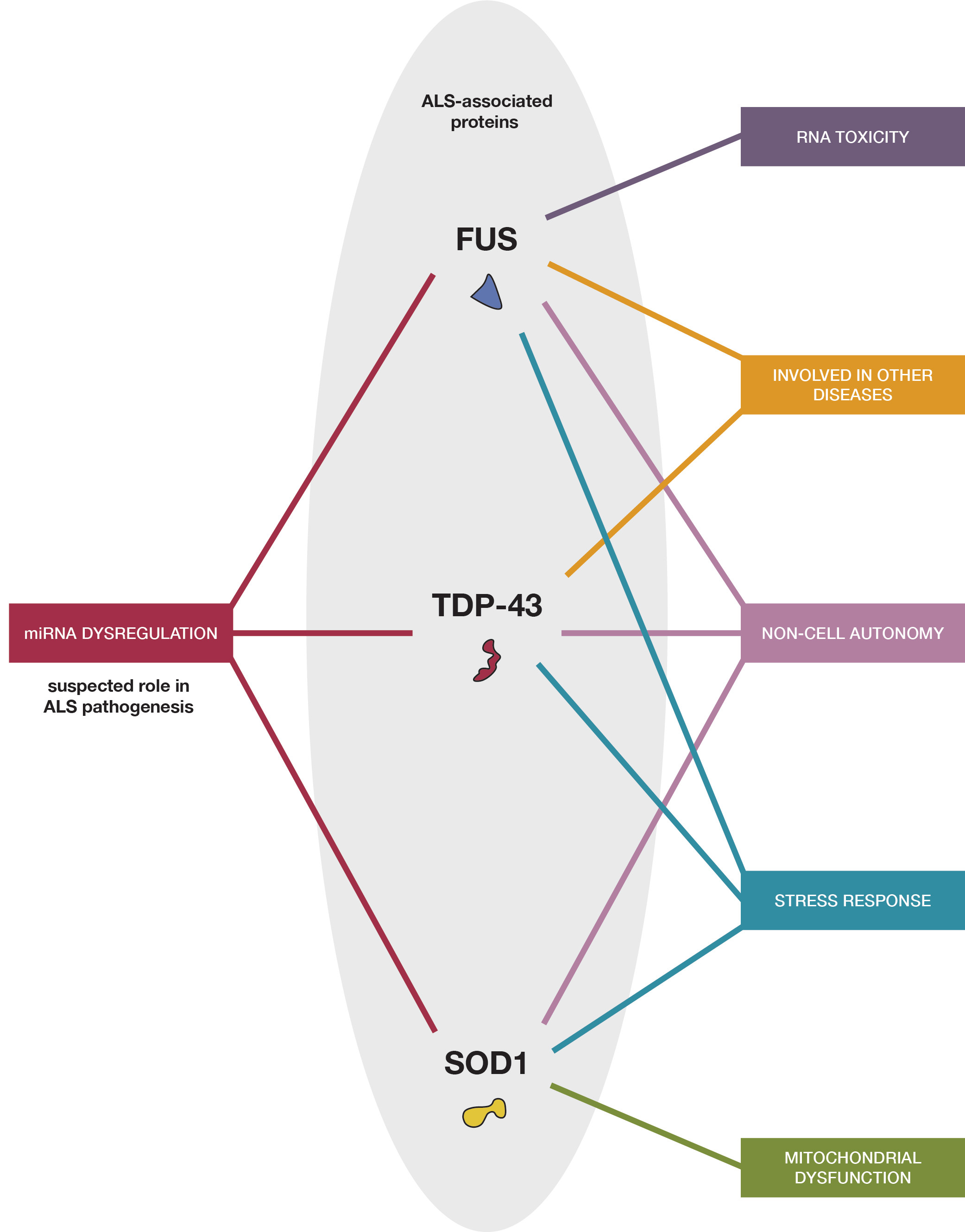 IJMS | Free Full-Text | Connecting RNA-Modifying Similarities of TDP-43 ...