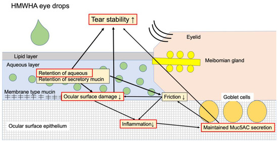 The Effects of High Molecular Weight Hyaluronic Acid Eye Drop ...