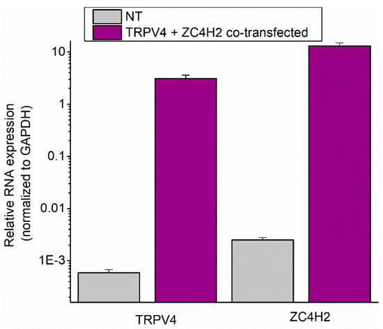 The Zinc-Finger Domain Containing Protein ZC4H2 Interacts with TRPV4 ...