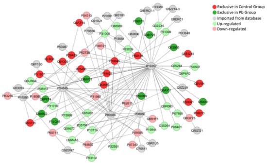 IJMS | Special Issue : Molecular Mechanisms of Lead Neurotoxicity