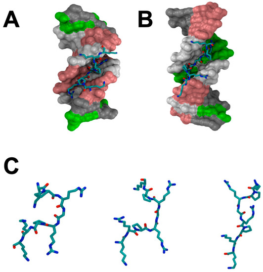 The Mammalian High Mobility Group Protein AT-Hook 2 (HMGA2 ...