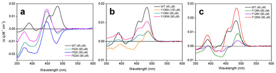 Insights into the FMNAT Active Site of FAD Synthase: Aromaticity Is ...