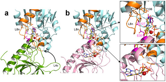 Insights into the FMNAT Active Site of FAD Synthase: Aromaticity Is ...