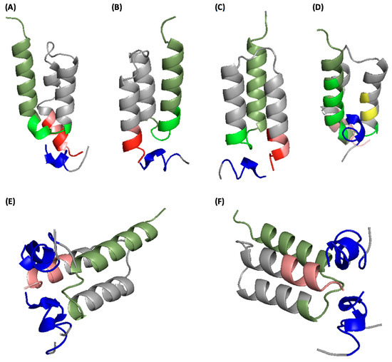 Affibody-Binding Ligands