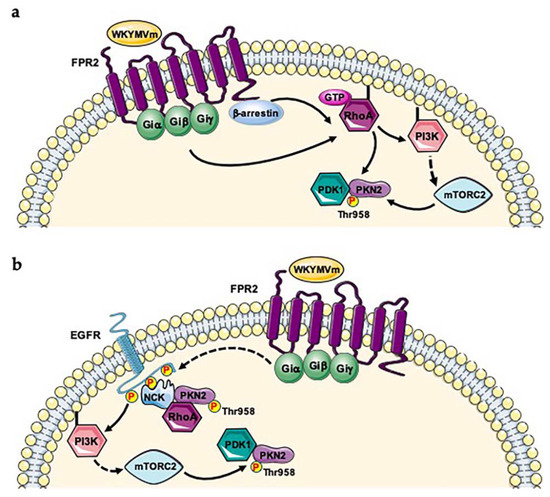 IJMS | Free Full-Text | Phosphorylation Sites in Protein Kinases and ...