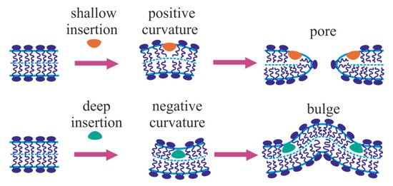 Continuum Models of Membrane Fusion: Evolution of the Theory