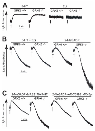 Role of GRK6 in the Regulation of Platelet Activation through Selective ...