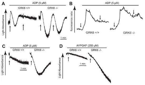 Role of GRK6 in the Regulation of Platelet Activation through Selective ...