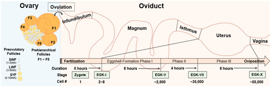 Current Approaches and Applications in Avian Genome Editing