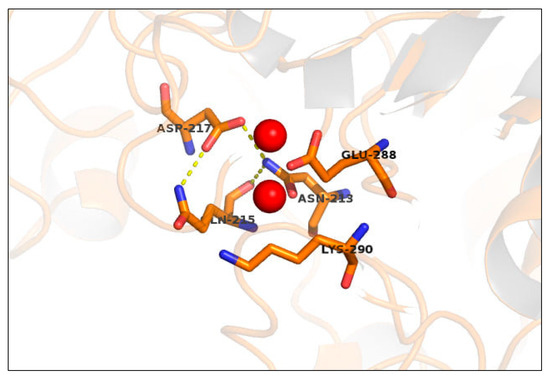 Insights into the Mn2+ Binding Site in the Agmatinase-Like Protein (ALP ...
