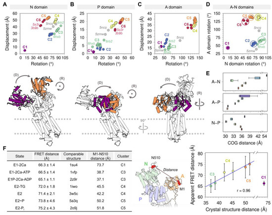Linking Biochemical and Structural States of SERCA: Achievements ...