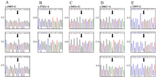 Novel Polymorphisms and Genetic Characteristics of the Prion Protein ...