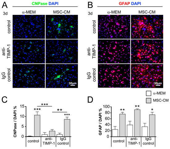 IJMS | Free Full-Text | Secretome Analysis of Mesenchymal Stem Cell Factors Fostering ...