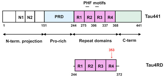 Semisynthetic Modification of Tau Protein with Di-Ubiquitin Chains for ...