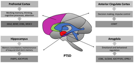 Genetic and Neuroimaging Approaches to Understanding Post-Traumatic ...