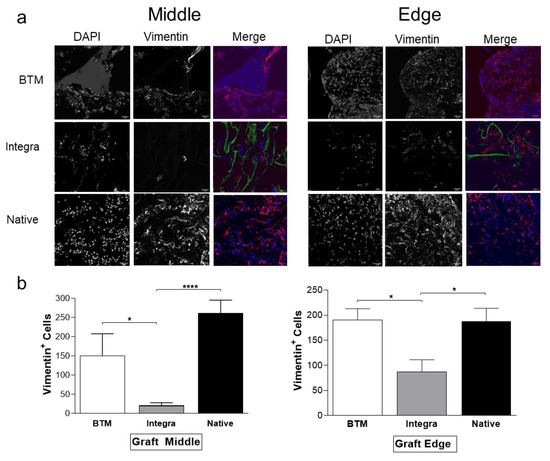 A Comparative Study of Engineered Dermal Templates for Skin Wound ...