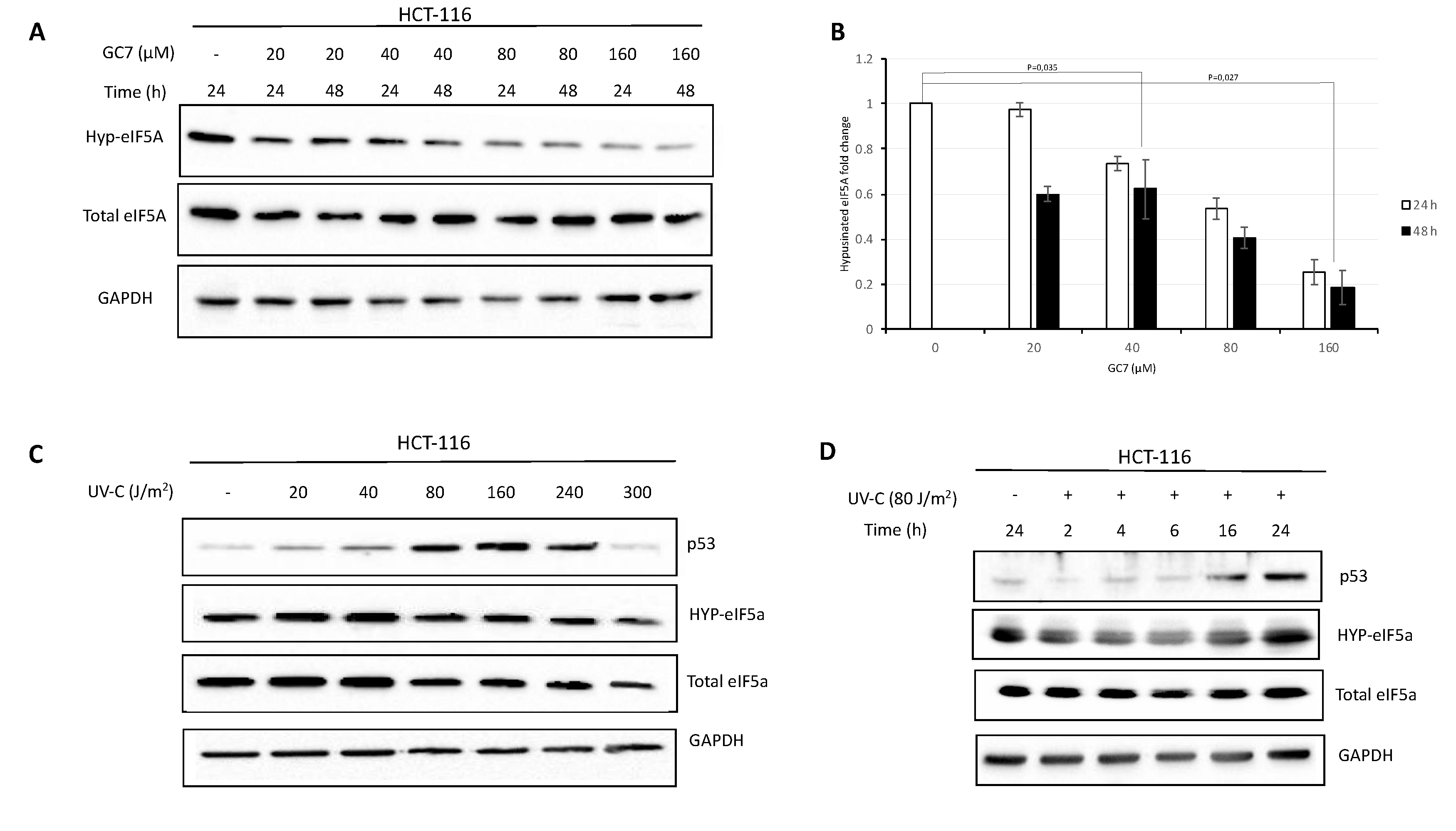 Inhibition of Eukaryotic Translation Initiation Factor 5A (eIF5A ...
