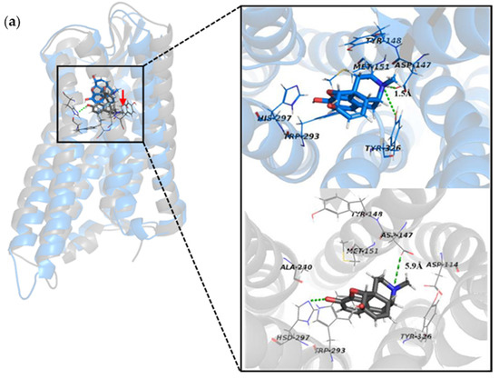 Molecular Dynamics Simulations to Investigate How PZM21 Affects the ...