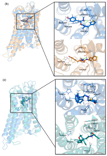 Molecular Dynamics Simulations to Investigate How PZM21 Affects the ...