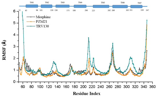 Molecular Dynamics Simulations to Investigate How PZM21 Affects the ...