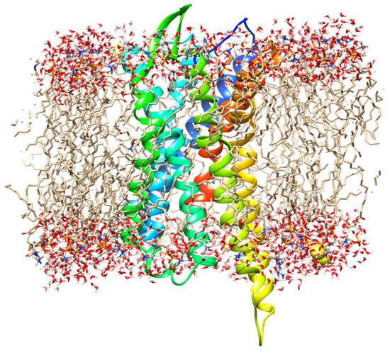 Molecular Dynamics Simulations to Investigate How PZM21 Affects the ...