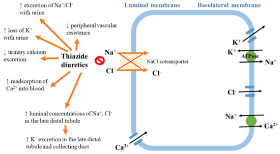 Pharmacogenomics of Hypertension Treatment