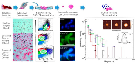 Microenvironment Molecular Profile Combining Glycation Adducts and ...