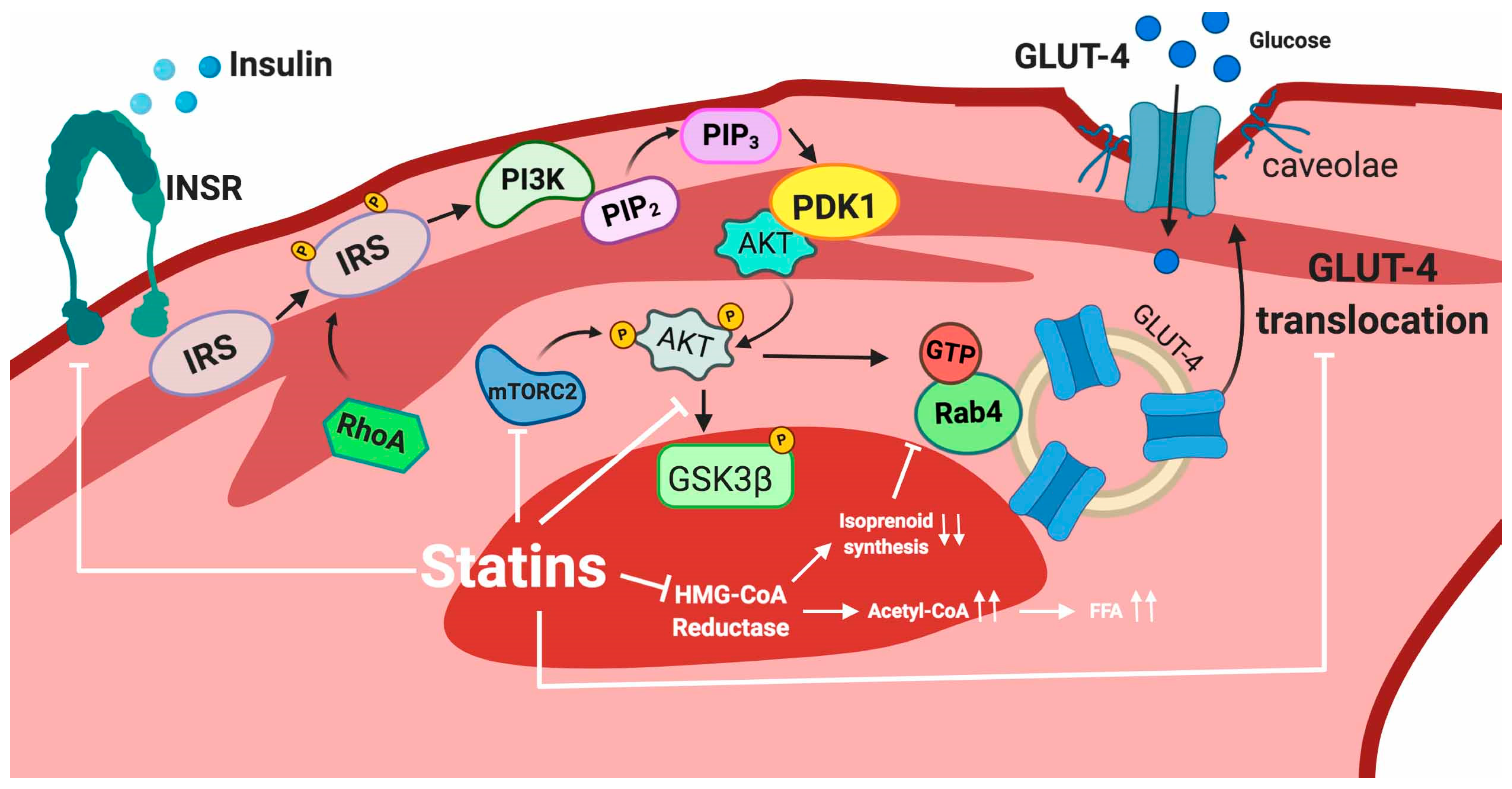 Ijms Free Full Text Statin Treatment Induced Development Of Type 2