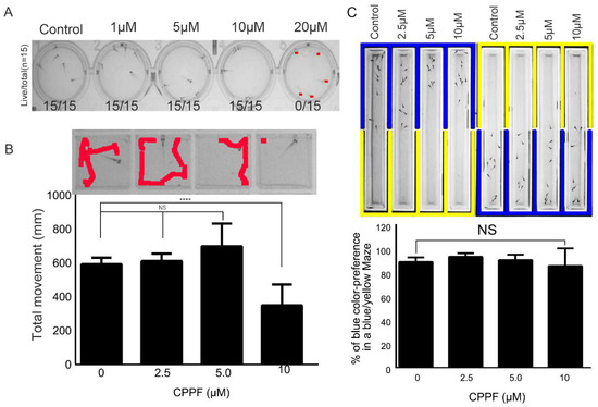 CPPF, A Novel Microtubule Targeting Anticancer Agent, Inhibits the ...