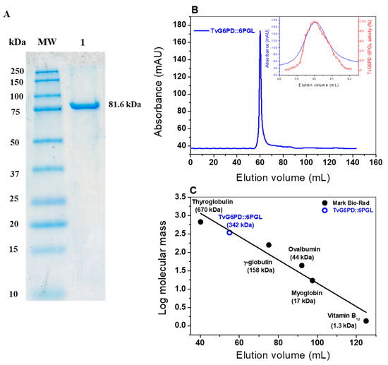 Characterizing the Fused TvG6PD::6PGL Protein from the Protozoan ...