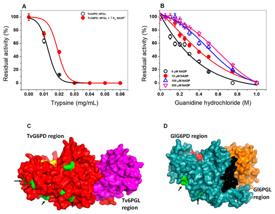 Characterizing the Fused TvG6PD::6PGL Protein from the Protozoan ...