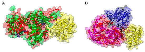 Characterizing the Fused TvG6PD::6PGL Protein from the Protozoan ...