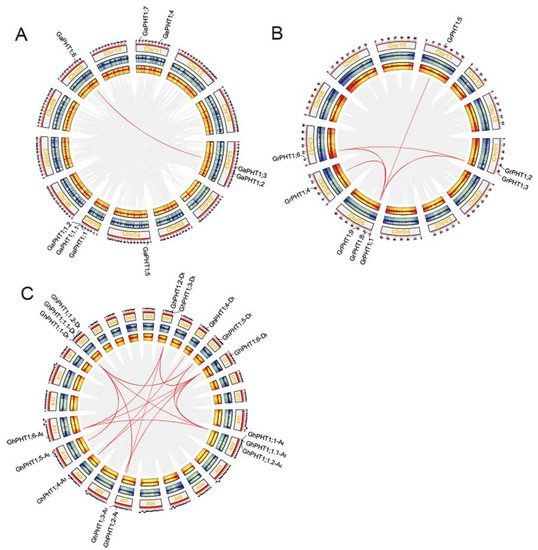 Genome-Wide Identification and Expression Profile Analysis of the PHT1 ...