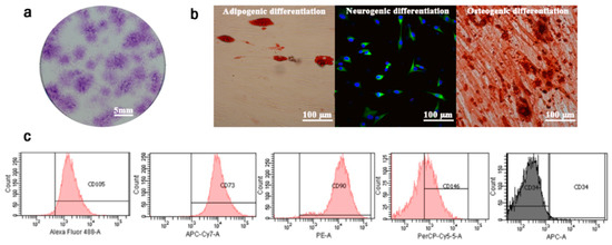 Red and Yellow Injectable Platelet-Rich Fibrin Demonstrated ...