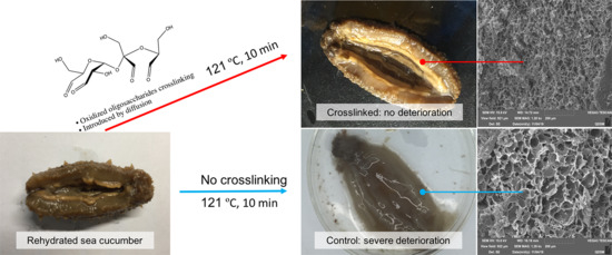 IJMS | Special Issue : Stabilization and Degradation of Polymers